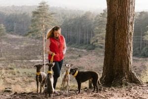 Kerry Jordan on why she founded National Dog Photography Day - The Paw Post